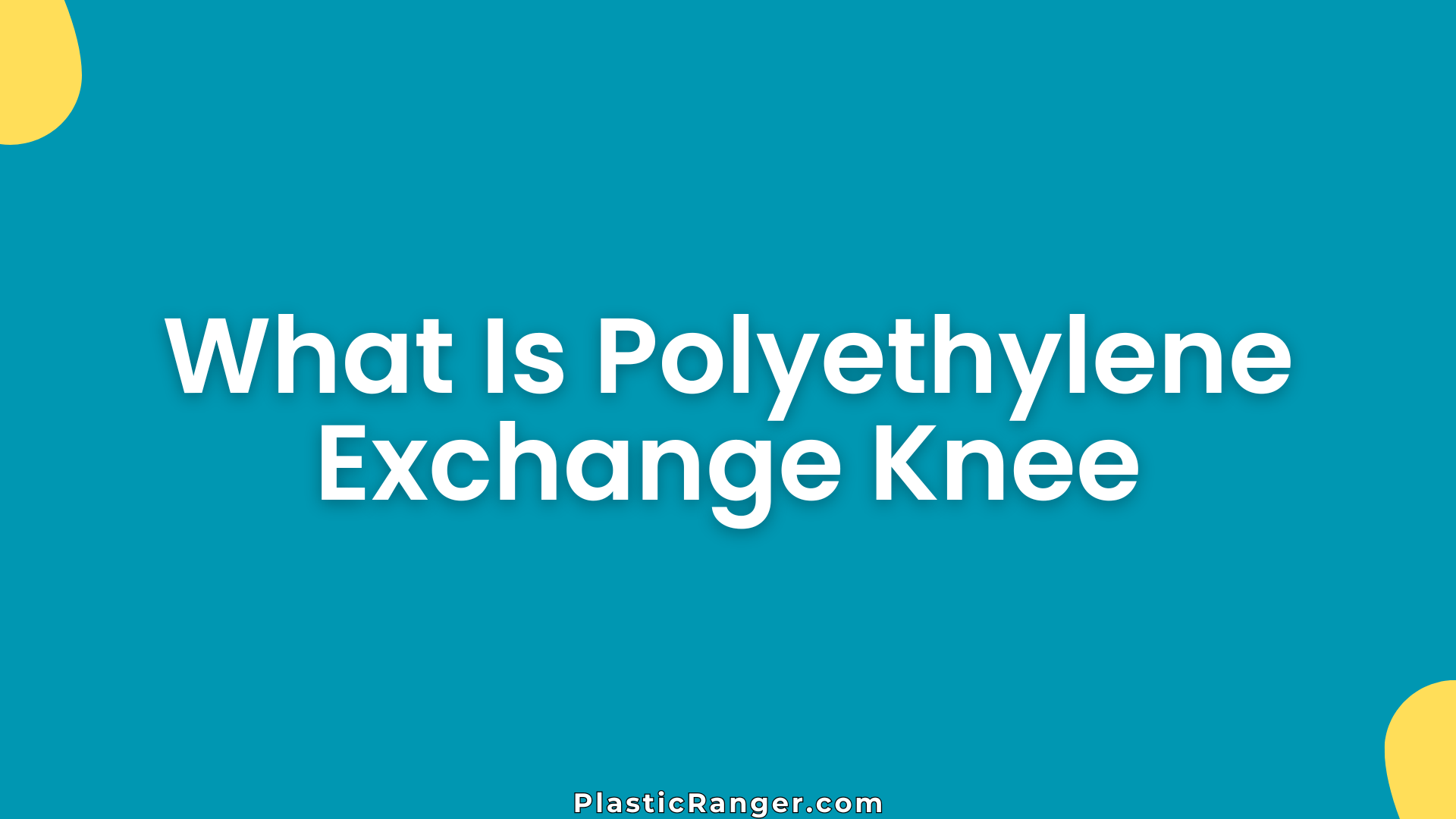 What Is a Polyethylene Exchange Knee and How It Works – PlasticRanger