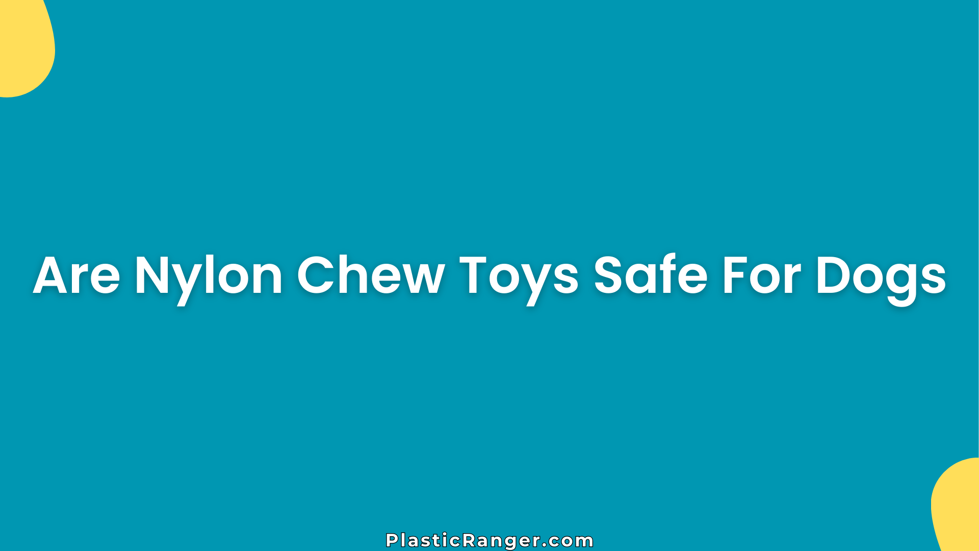 Are Nylon Chew Toys Safe For Dogs – PlasticRanger
